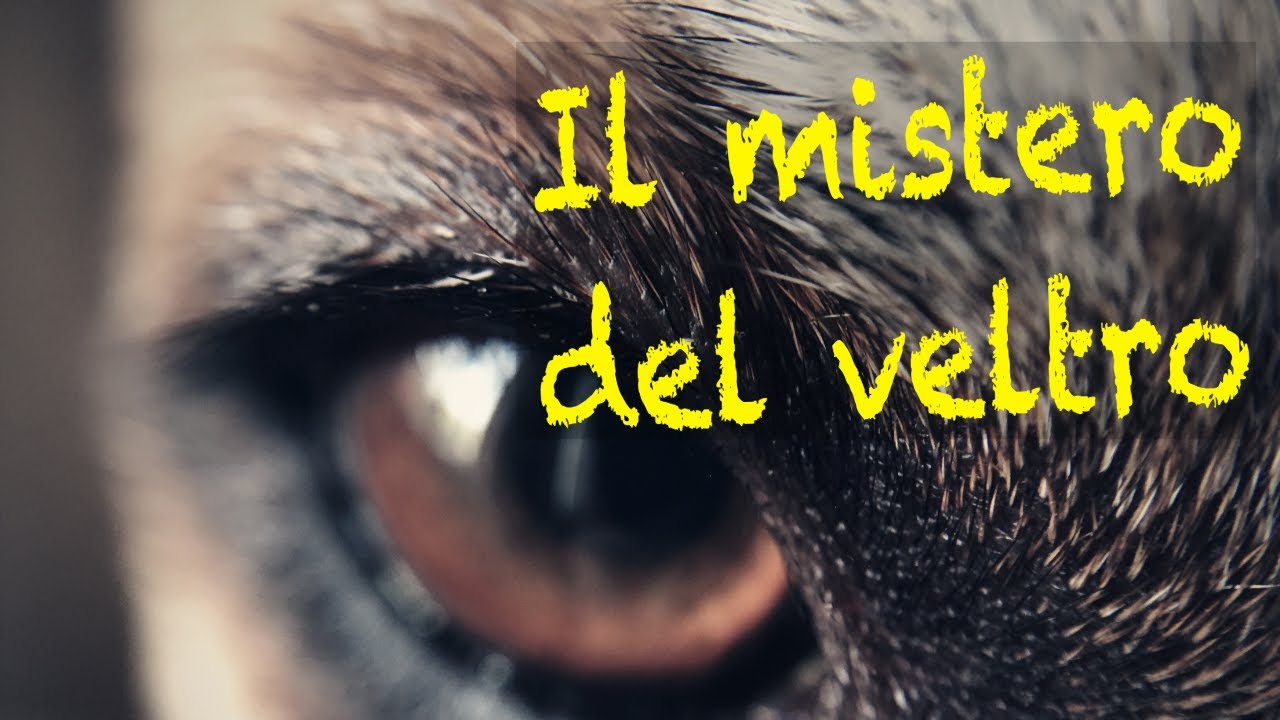 La profezia e il mistero del Veltro, Inferno, Canto I - YouTube