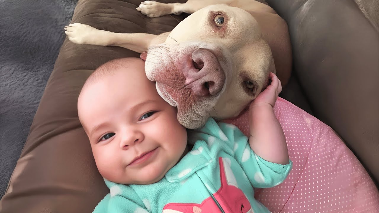 When Babies and Dogs Team Up for Fun Moments!😂 | Cutest Baby and Dog ...