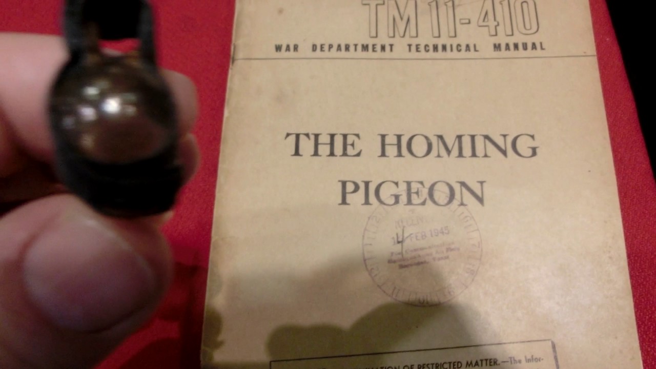 US Military Homing Pigeon communication - YouTube