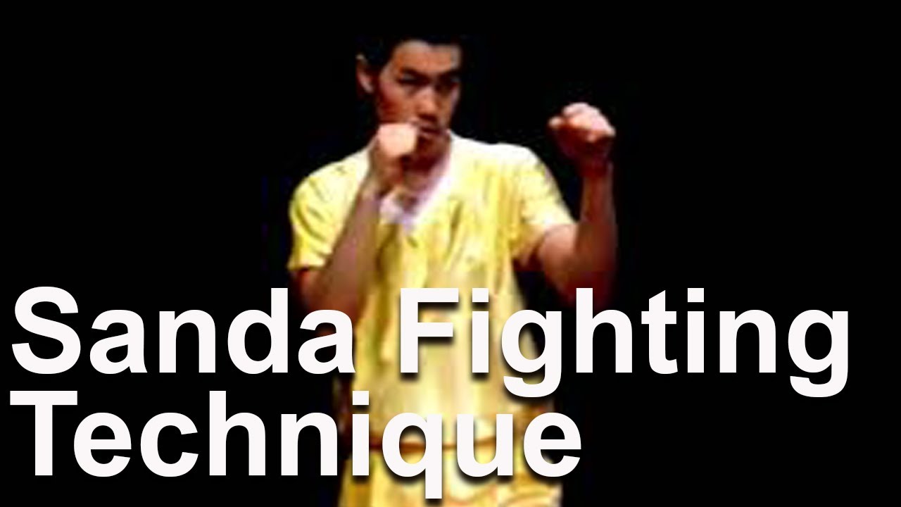 Sanda Fighting Technique - YouTube