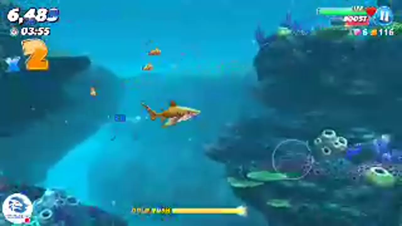 Hungry 🦈 Shark Evolution My Game Play Live Gaming - YouTube