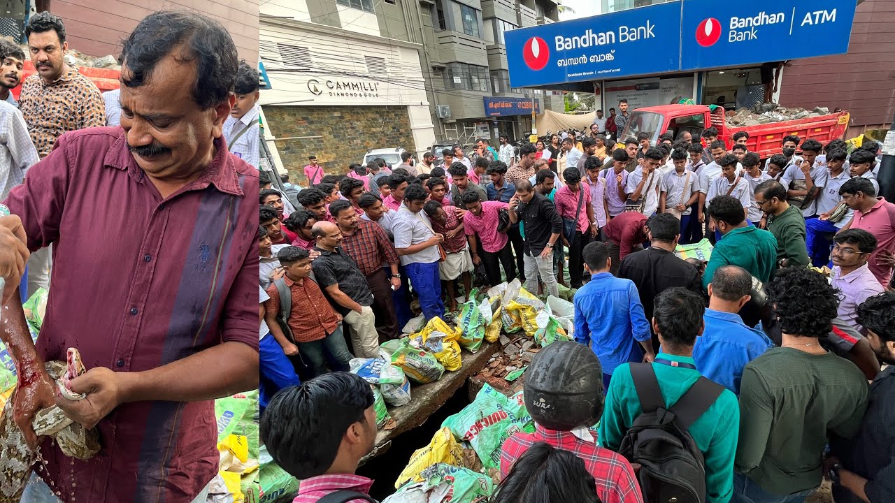 Python at parayancheri, Kozhikode | #malampamb - YouTube