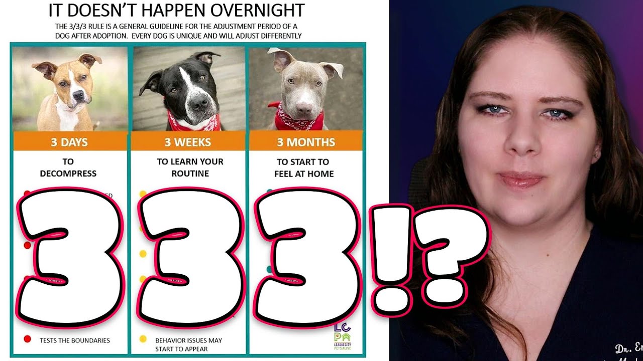 Is it a Rule or a Myth? | Vet's Voice - YouTube