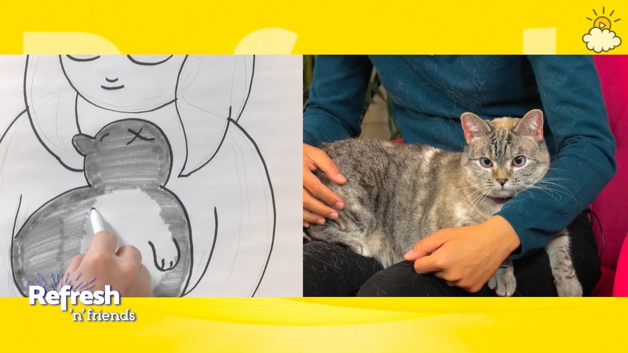 Drawing The Internet's Most Famous Cat - YouTube
