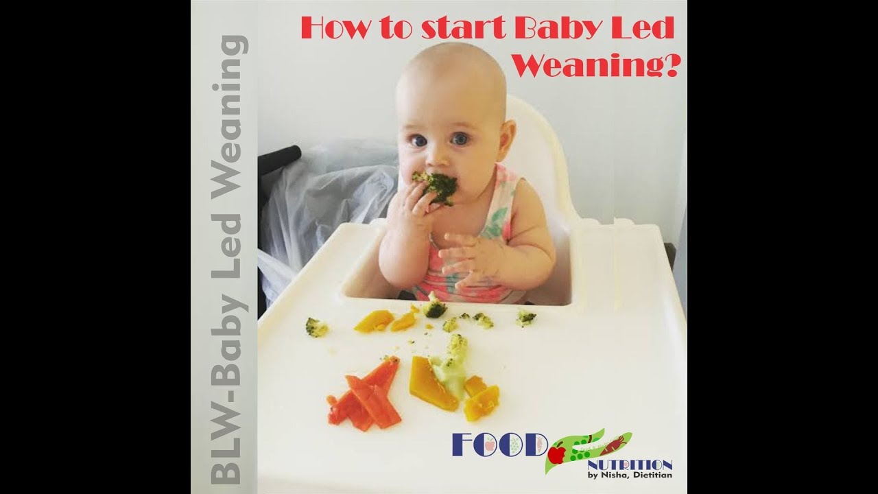 Baby Led Weaning- How to start??// Self Weaning - YouTube