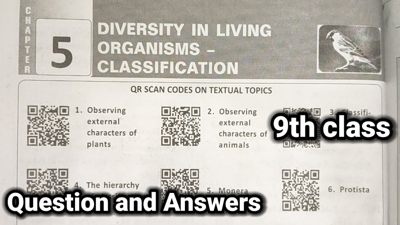 9th class | Biology | 5.Diversity in Living Organisms lesson |9th ...