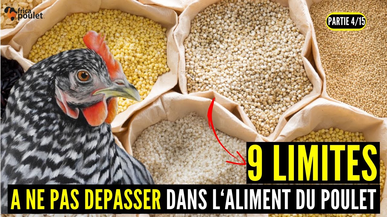 9 LIMITES d'utilisation de CERTAINES MATIERES PREMIERES dans L'ALIMENT ...