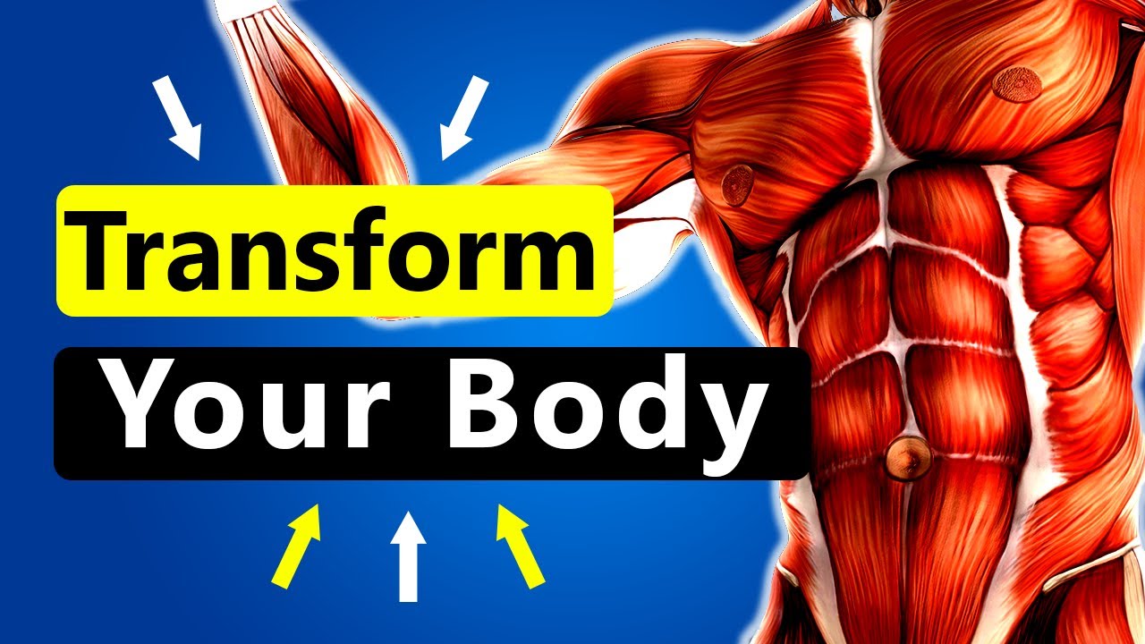 Transform Your Body: How to Build an Aesthetic Physique - YouTube