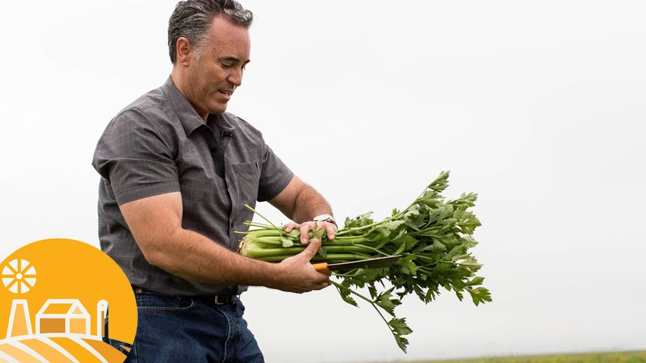 Rodney Braga with Braga Fresh Family Farms & Josie's Organics | Sun ...