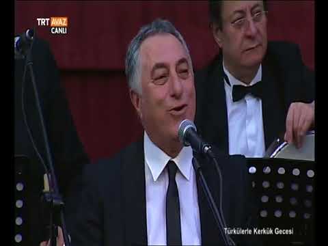 TRT AVAZ TV \