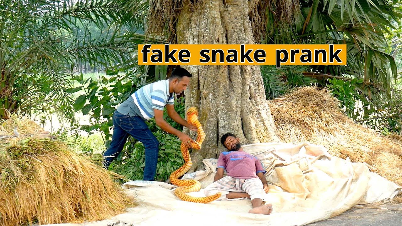 fake snake prank King Cobra Snake Prank Fake Snake Prank Video on ...