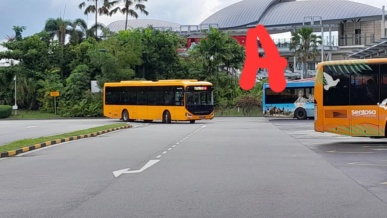 (sentosa) pd622u on sentosa bus svc A ZHONGTONG N12S - YouTube