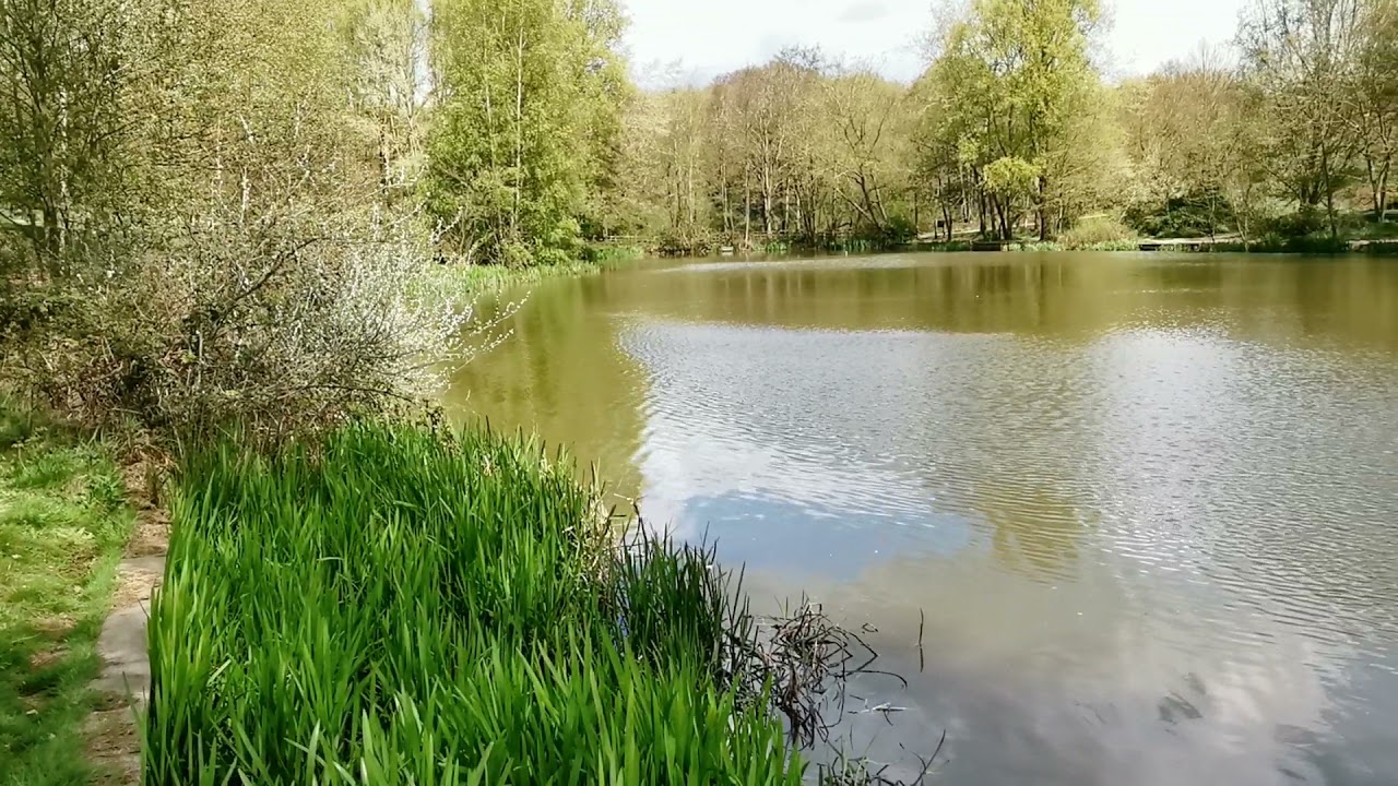 Highwoods Country Park Colchester Essex #nature #wildlife #parks # ...