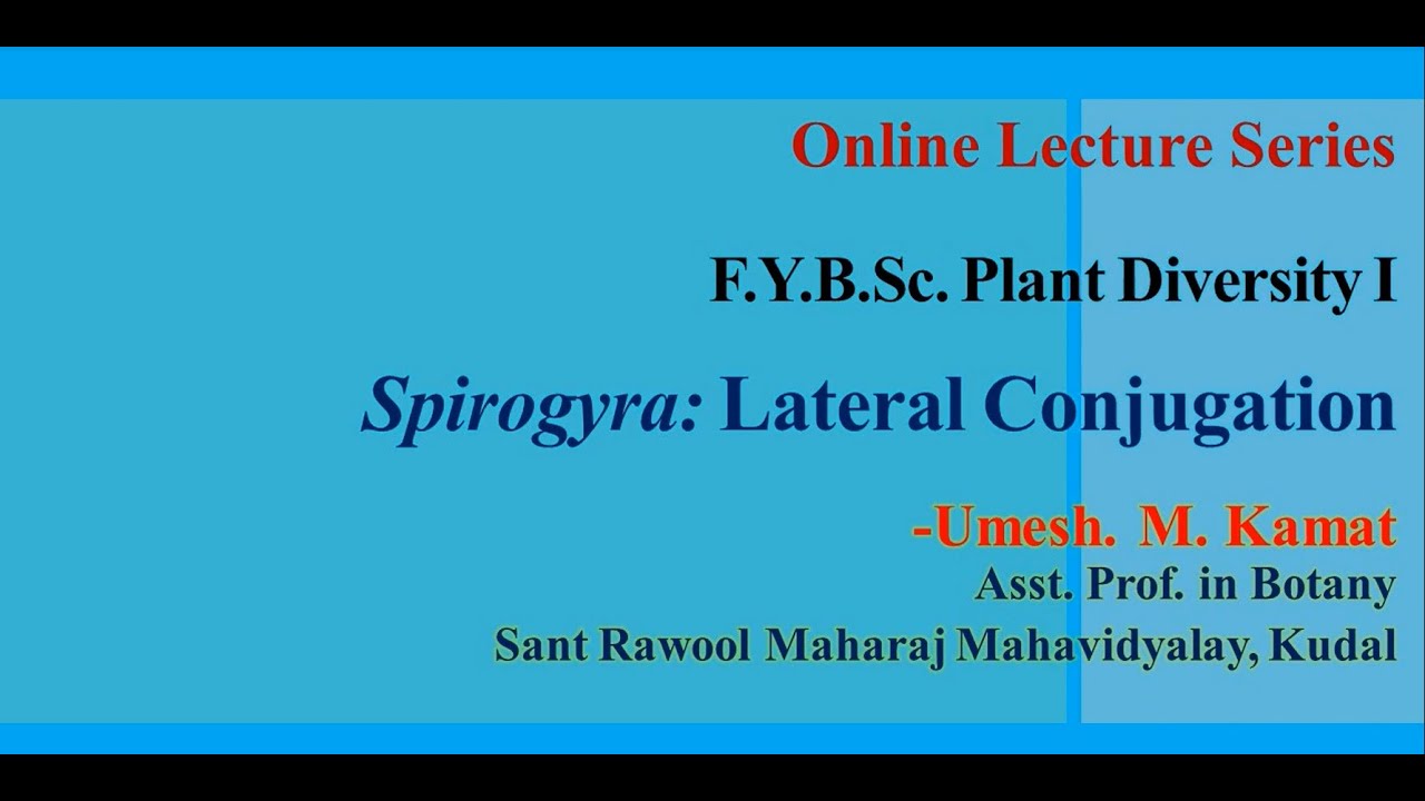 Spirogyra Lateral Conjugation - YouTube