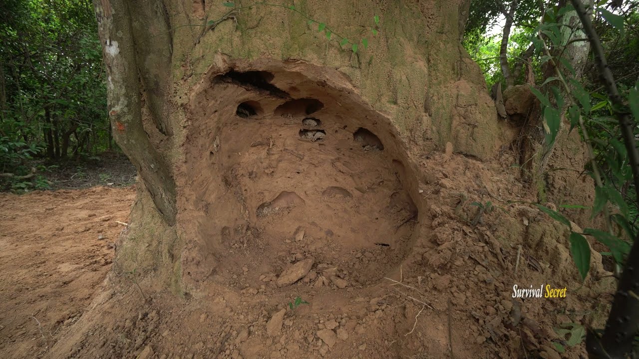 Build Survival Secret Bushcraft Camping Dugout Underground House Start ...