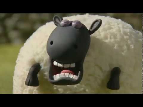 Mielul Shaun S1E8 - ''Bazaitul de albine'' / Shaun the Sheep S1E8 - YouTube