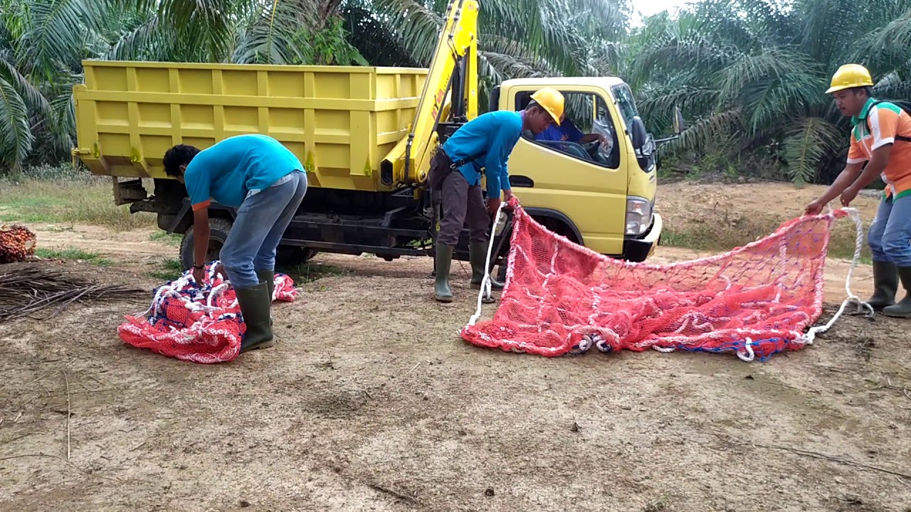 Uji Coba Loading TBS Menggunakan Dump Truck Grabber Crane (Net System ...