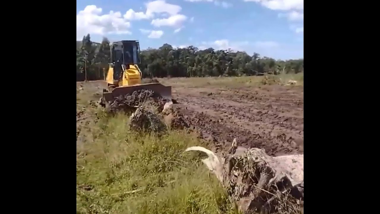Bulldozer Komatsu pushing a pile of tree stumps - YouTube