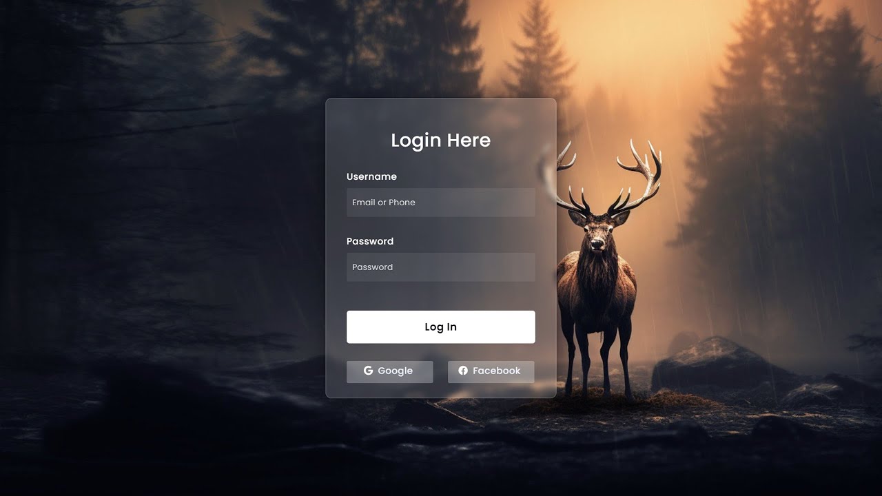 Login Form in HTML & CSS | How To Create Login Form In HTML and CSS ...