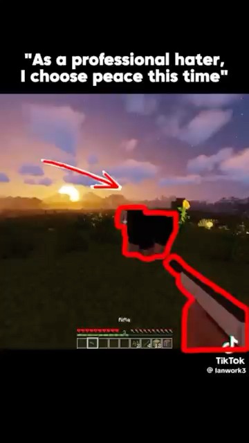 “Minecraft – The Definition of Peace” ️ #memes #fypシ゚ #shorts # ...