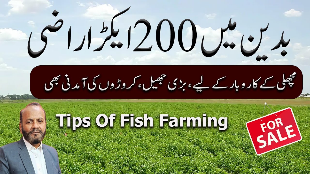 200 Acres Land for Sale in Badin - Big Fish Farm, Huge Lake & Million ...