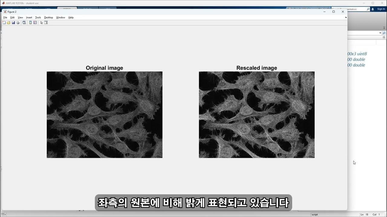이미지의 normalization(정규화) 및 Z-score standardization(표준화) - MATLAB 이미지 ...