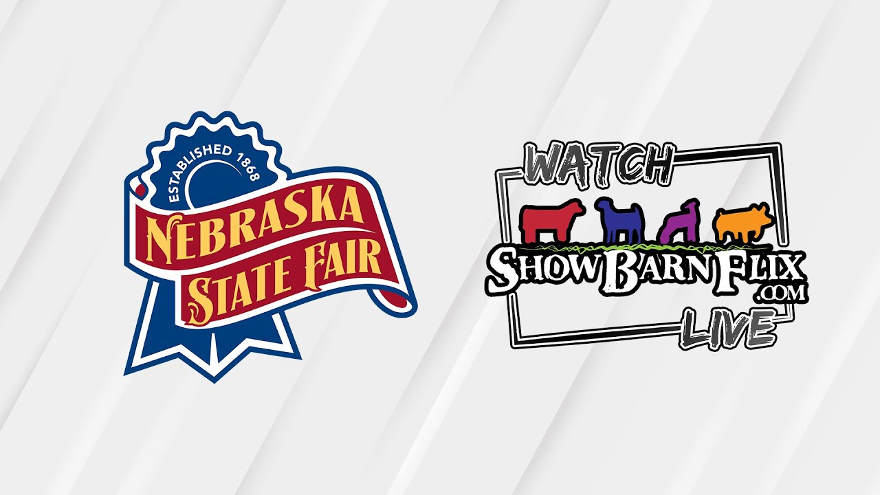 4-H Pig Showmanship & Breeding Gilt Show - Nebraska State Fair 2023 ...