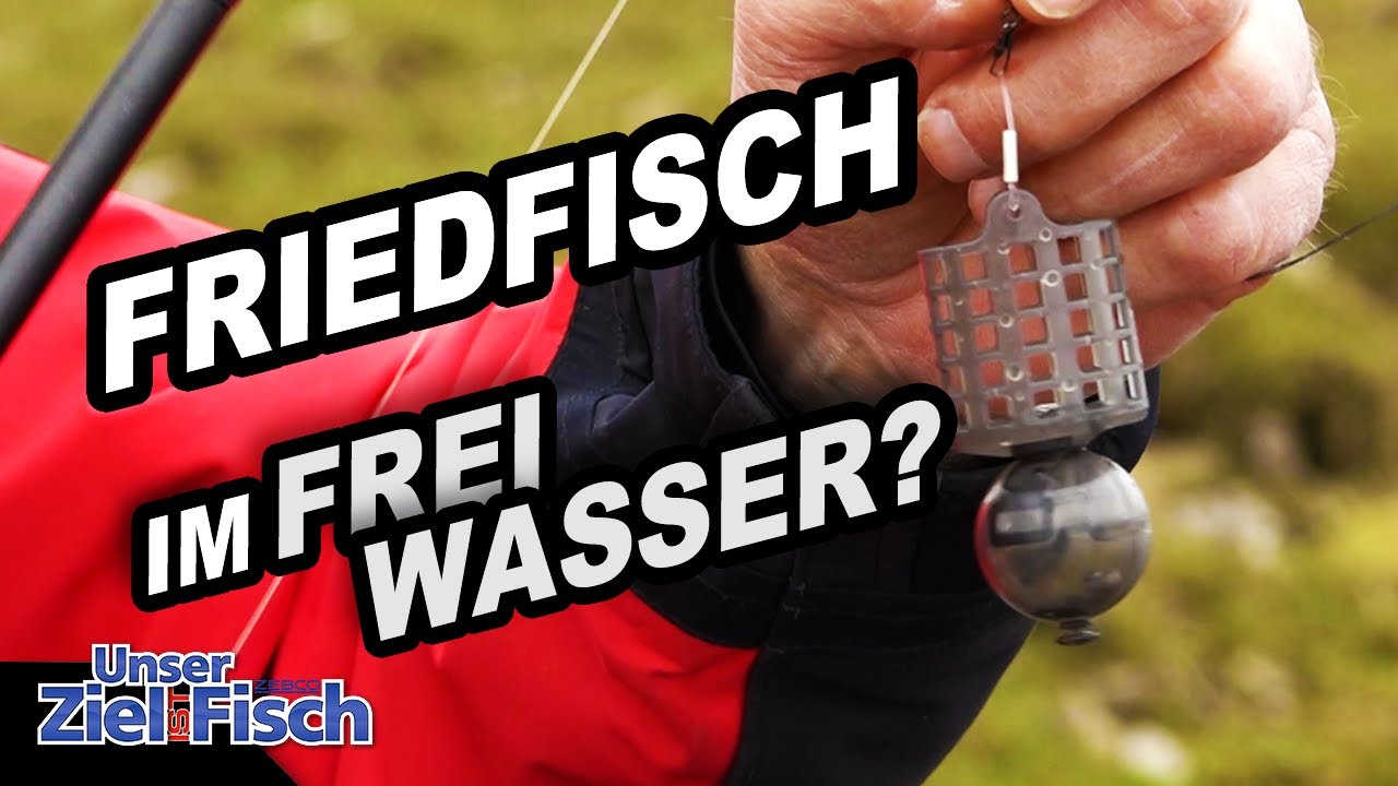 SCHWEBENDER FUTTERKORB bei EISESKÄLTE & STURM ??? - Unser Ziel ist ...