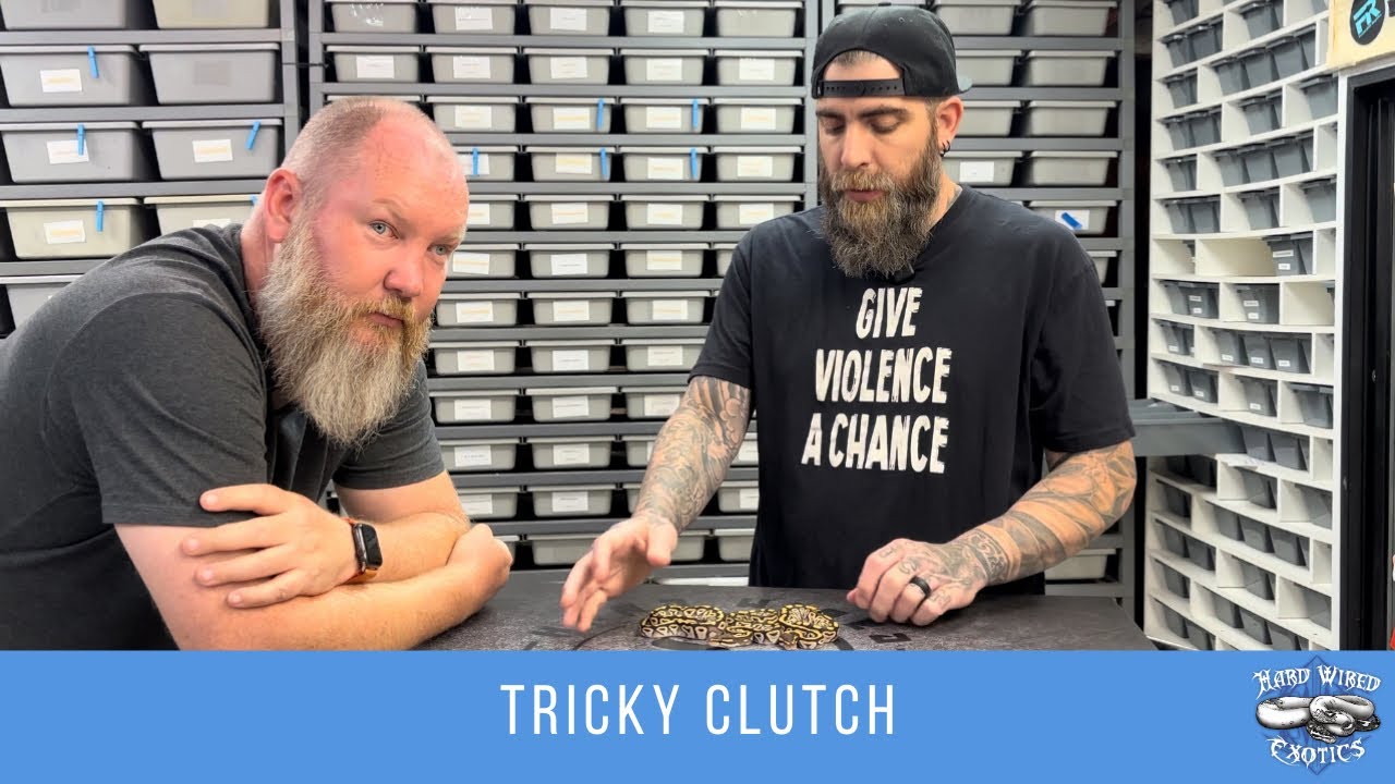 First Tricks of the year!!!! - YouTube