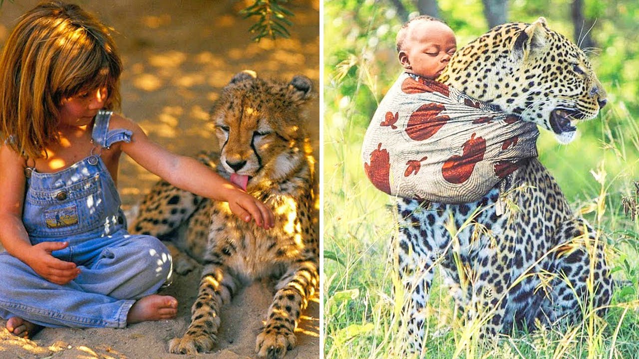 This Little Girl Was Raised By Wild Animals. Her Story Will Blow Your ...