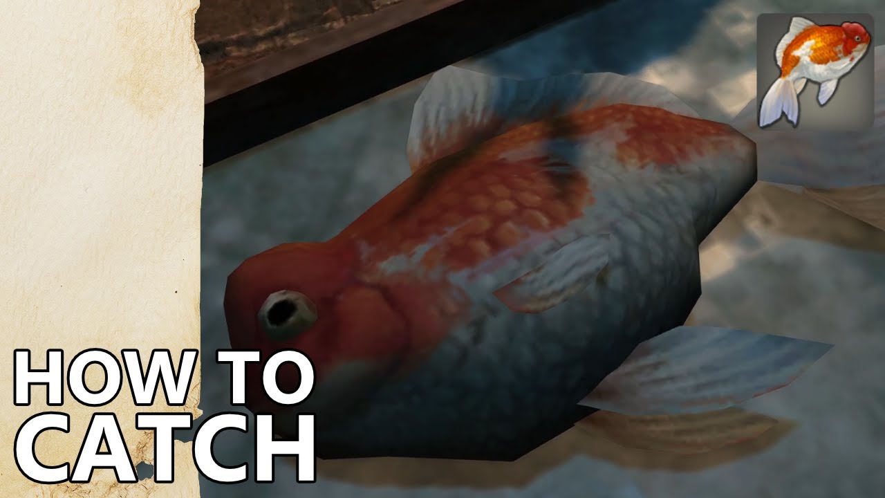 How to Catch Raging Hanuhead (Lv.98 Wachumeqimeqi Deliveries) - YouTube