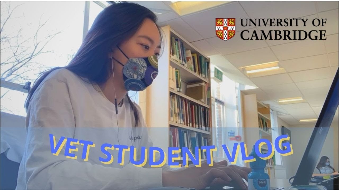 revising for finals, trying to stay sane | Cambridge University vet ...