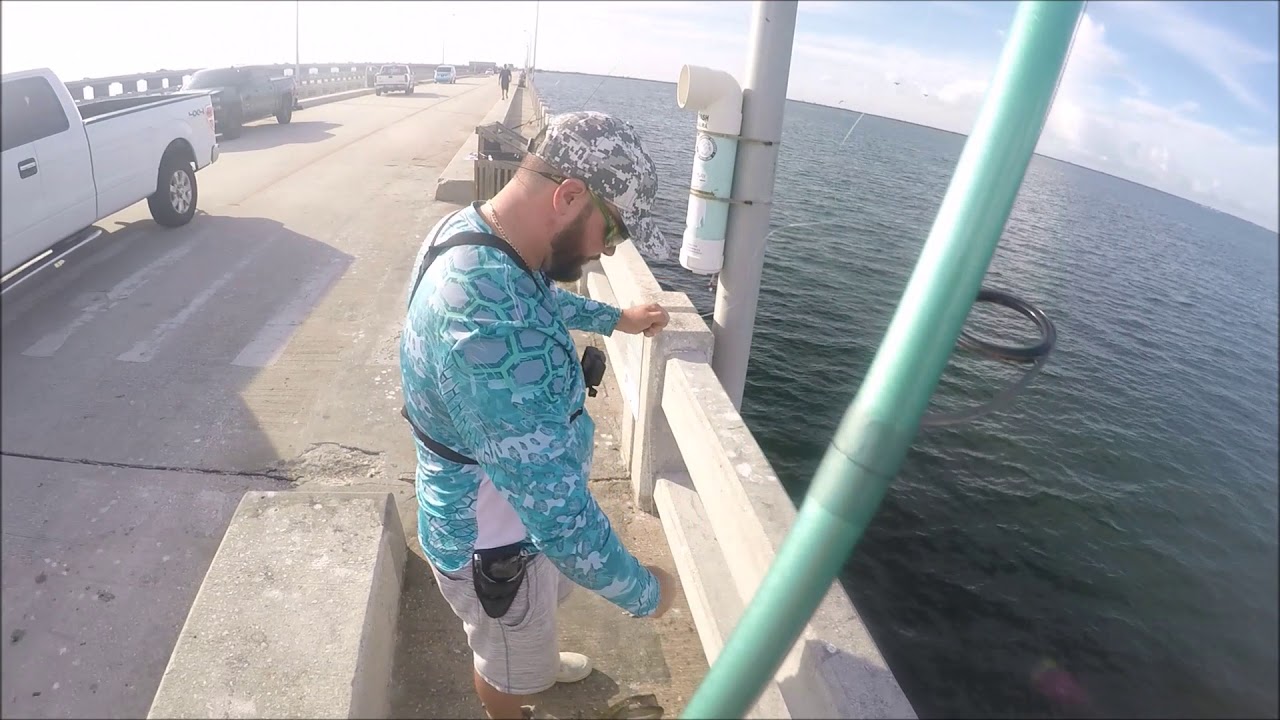 Grouper fishing the skyway with Josh Taylor! (salty scales) - YouTube