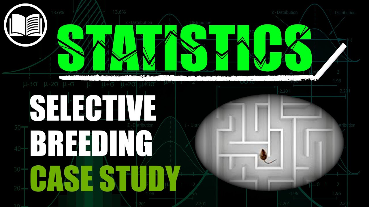 Selective Breeding Case Study - YouTube