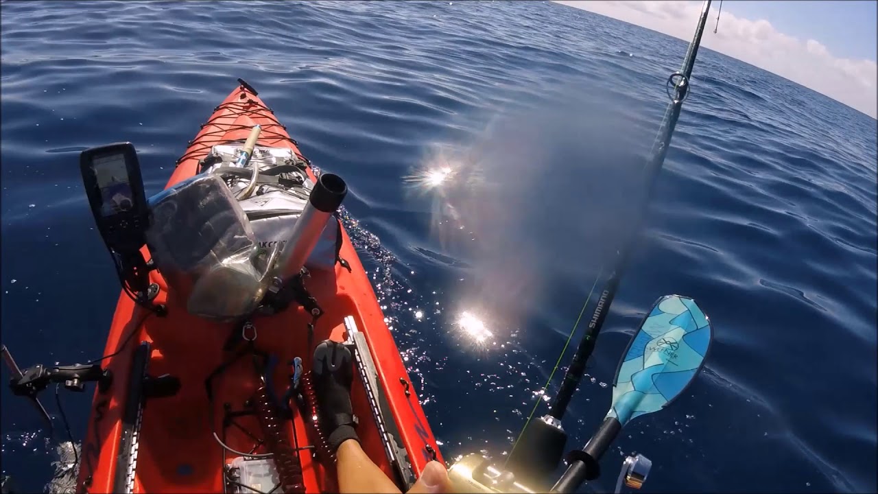 Light jig rig no match for ulua - YouTube