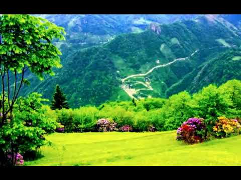 Relaxing muzic