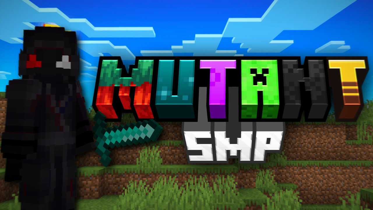 This is Minecraft's BEST Creator SMP... (Applications Open) - YouTube