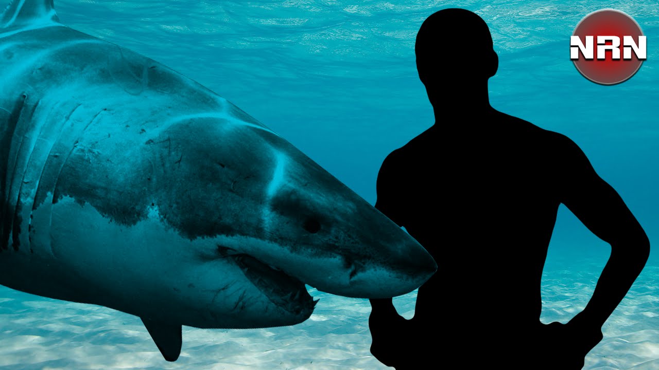 WORLD SHARK BOXING CHAMPIONSHIP - YouTube