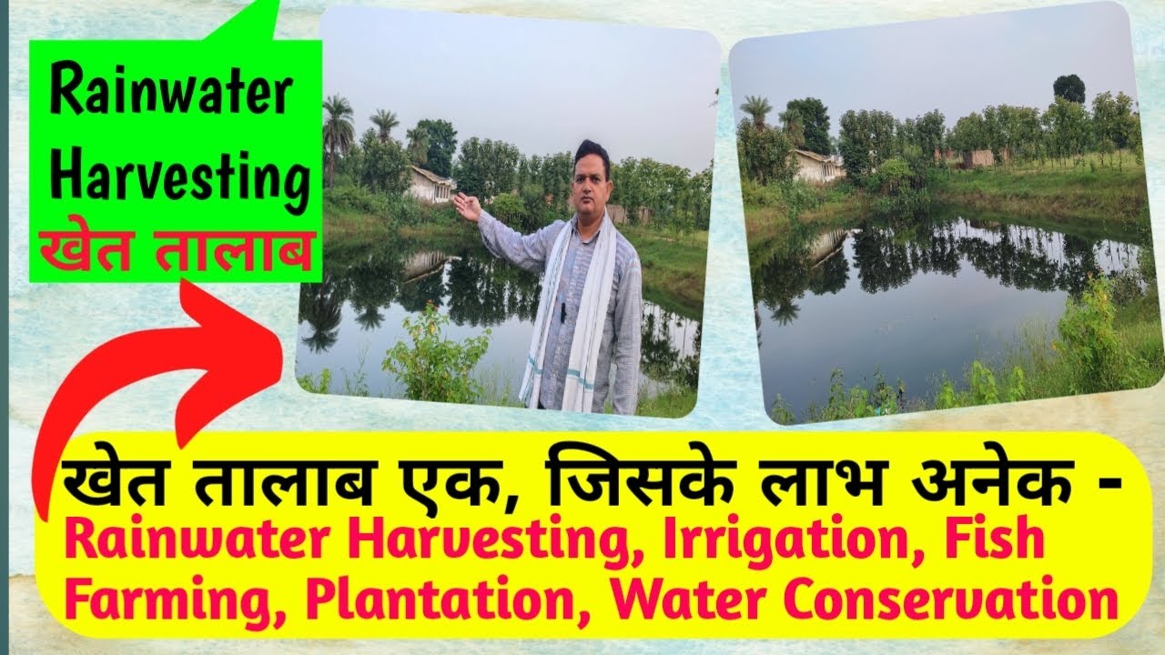 खेत तालाब | Rainwater Harvesting | Khet Talab ke fayde | Benefits of ...