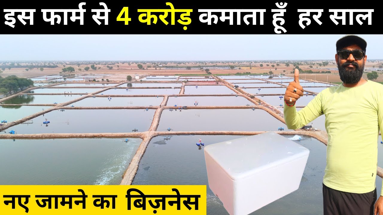 कम समाये में ज्यादा Profit वाला Business II Jinga farming II Prawn ...