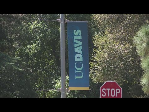 Man arrested, accused of kidnapping woman on UC Davis campus - YouTube