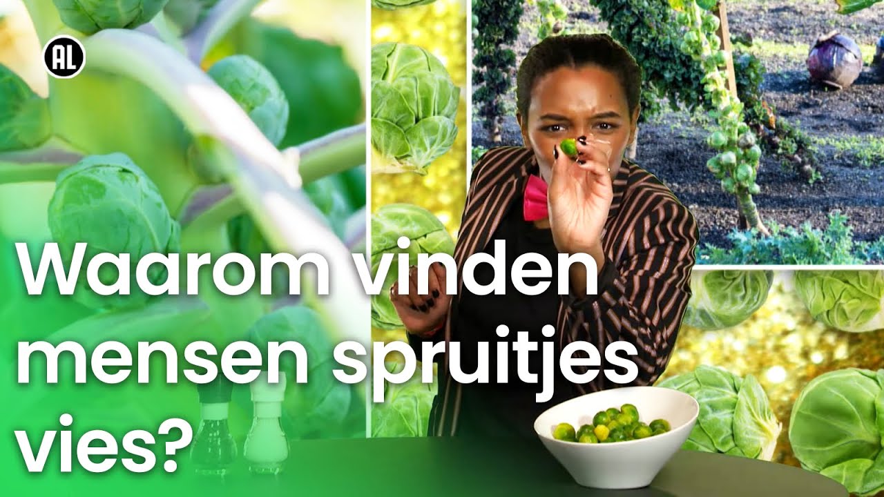 Waarom vinden veel mensen spruitjes vies? | Waarom? Daarom! - YouTube