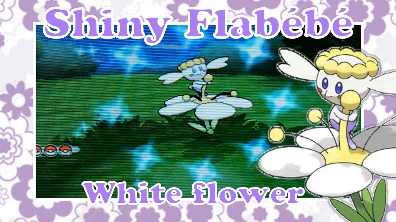 [LIVE] Shiny White Flabébé on Pokemon X after 540 eggs! - YouTube