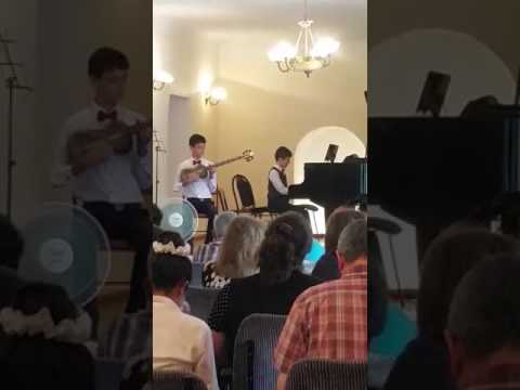 Neopalitan mahnisi.Tar və Piano.Zor musiqi (Baxmağa dəyər)