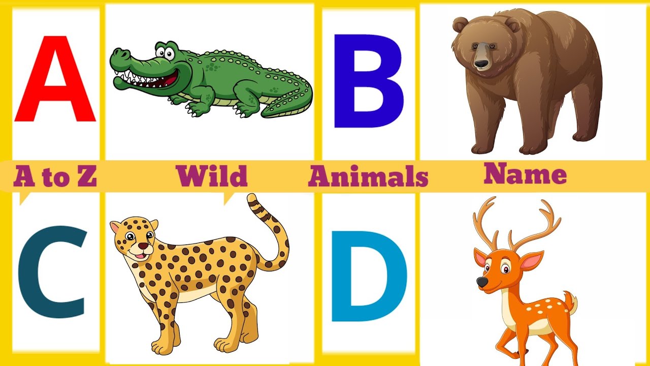 A to Z Wild Animals Name | English Alphabet A to Z | abcd song | WILD ...