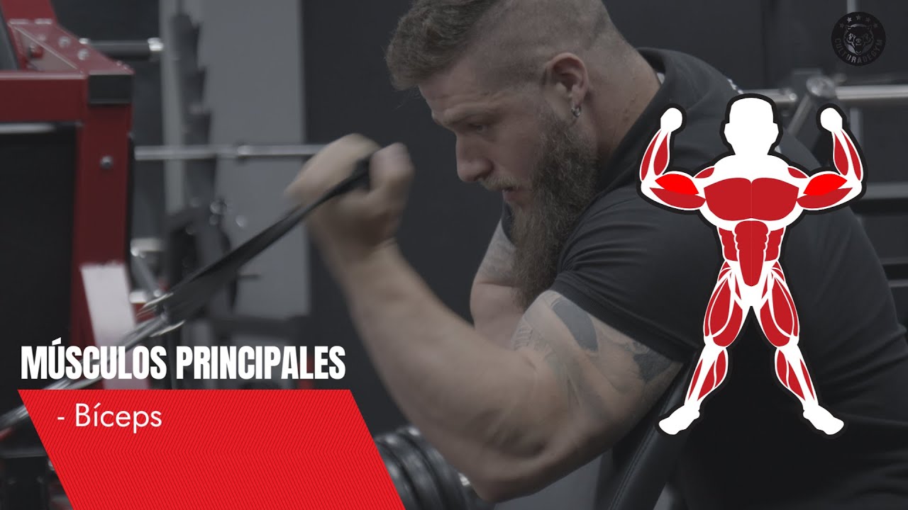 Curl de BÍCEPS PREDICADOR en polea🟡(No Ajustado) - YouTube
