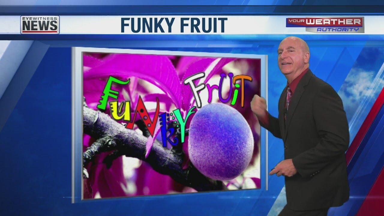 FuNkY FrUiT Nervous Snoopy Mater - YouTube