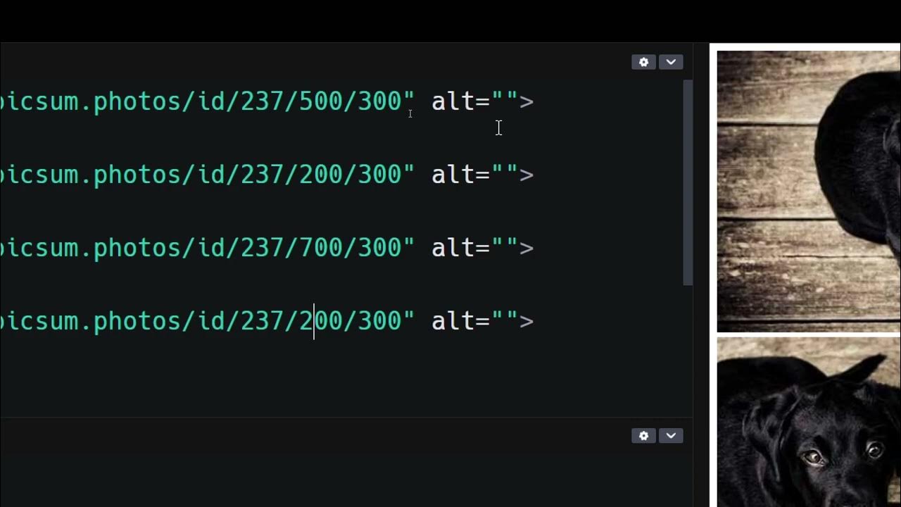 25 03 20, HTML, CSS 강좌, 40강, picsum.photos 로 쉽게 테스트용 이미지 사용하기 - YouTube