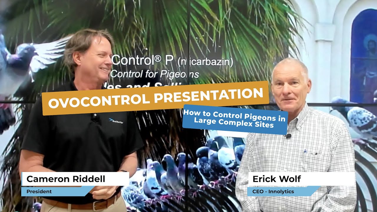 Solving Large Pigeon Problems with OvoControl: Birth Control for ...