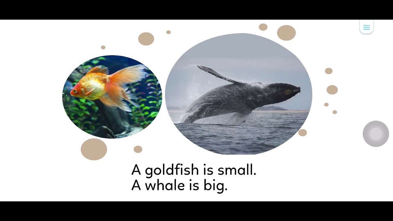 LEVEL C | BIG AND SMALL - YouTube